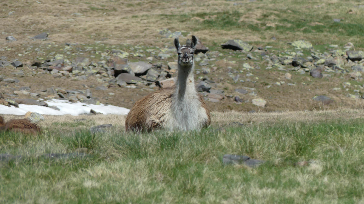 Notre escapade au TOURMALET - Kangaroo Road